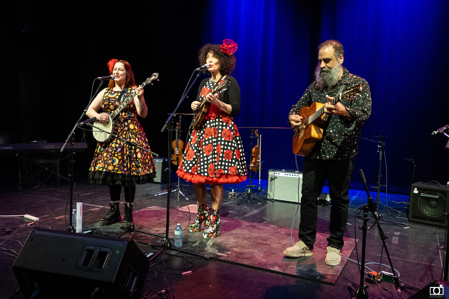 The Canadian Folk Music Awards - Canadian Folk Music Awards